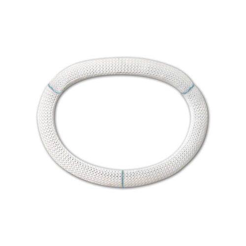 Mitral Valve Repair Rings - ACJ